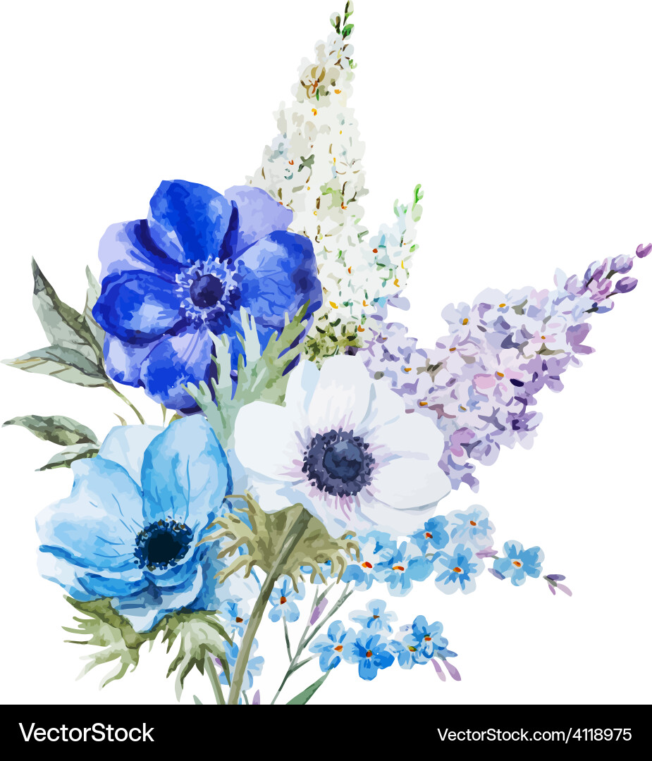 Anemones Royalty Free Vector Image - VectorStock