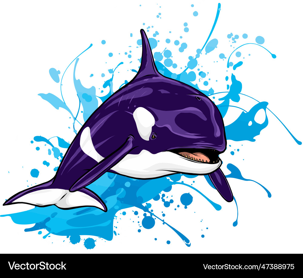 Killer whale or orca design Royalty Free Vector Image