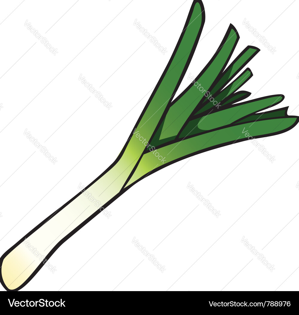Cartoon leek Royalty Free Vector Image - VectorStock