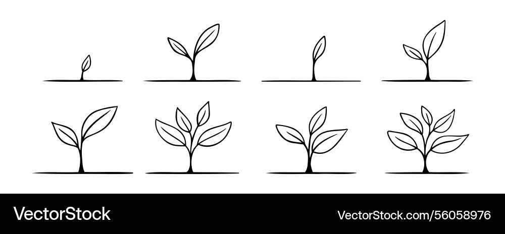 Growing sprout plant doodle hand drawn icon set Vector Image