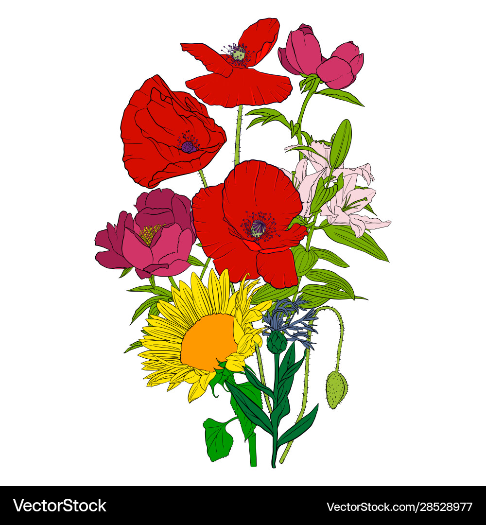 Drawing flowers Royalty Free Vector Image - VectorStock