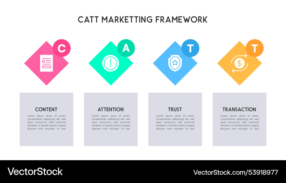 Modern catt marketing framework infographic Vector Image