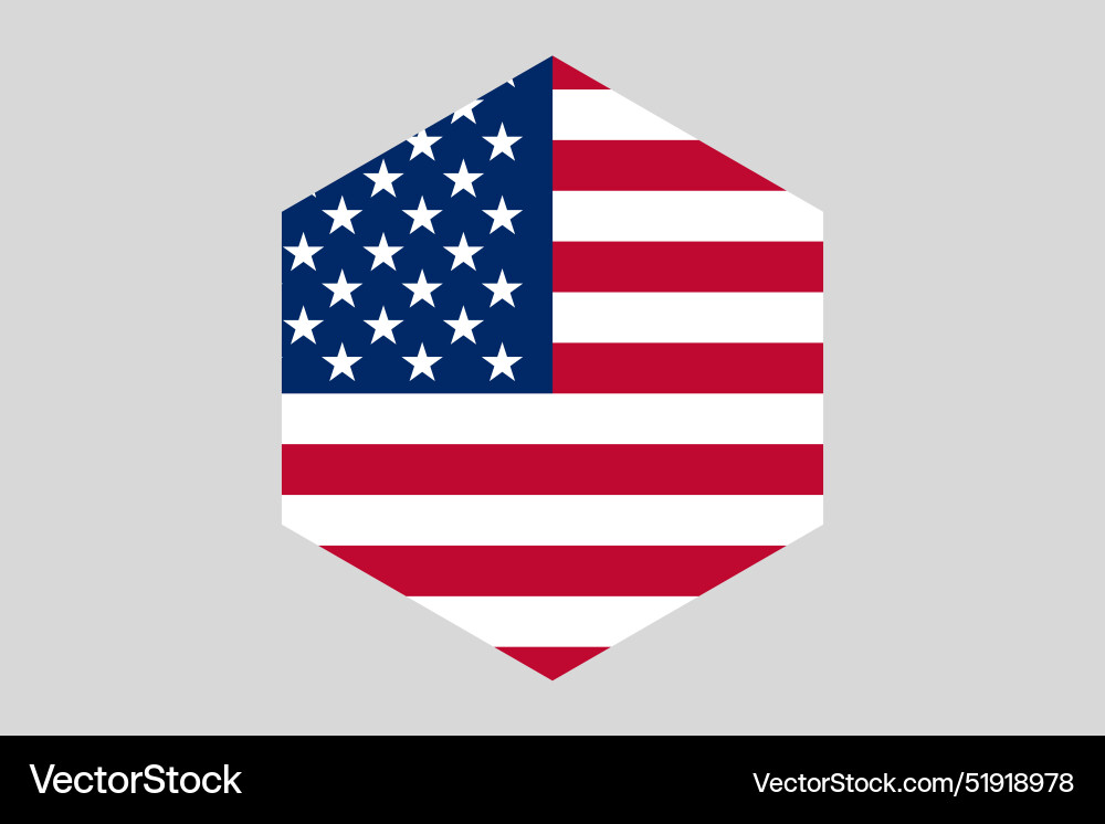 American flag sign Royalty Free Vector Image - VectorStock