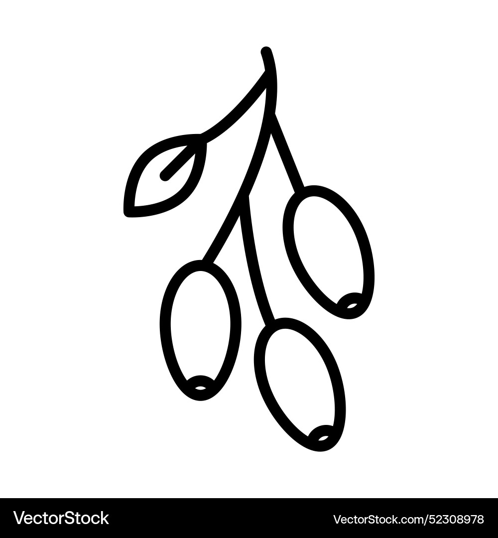 Jujube icon linear logo mark in black and white Vector Image