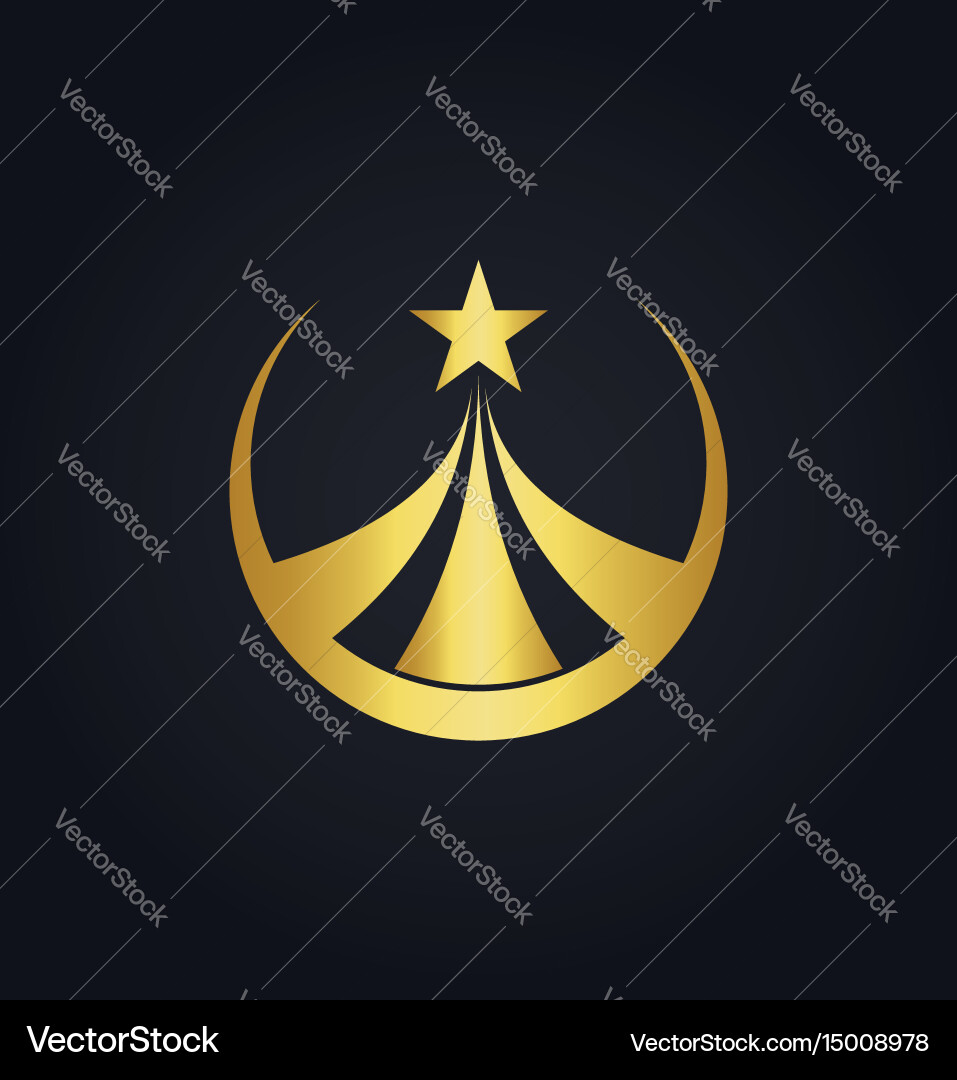 Star round business gold logo Royalty Free Vector Image