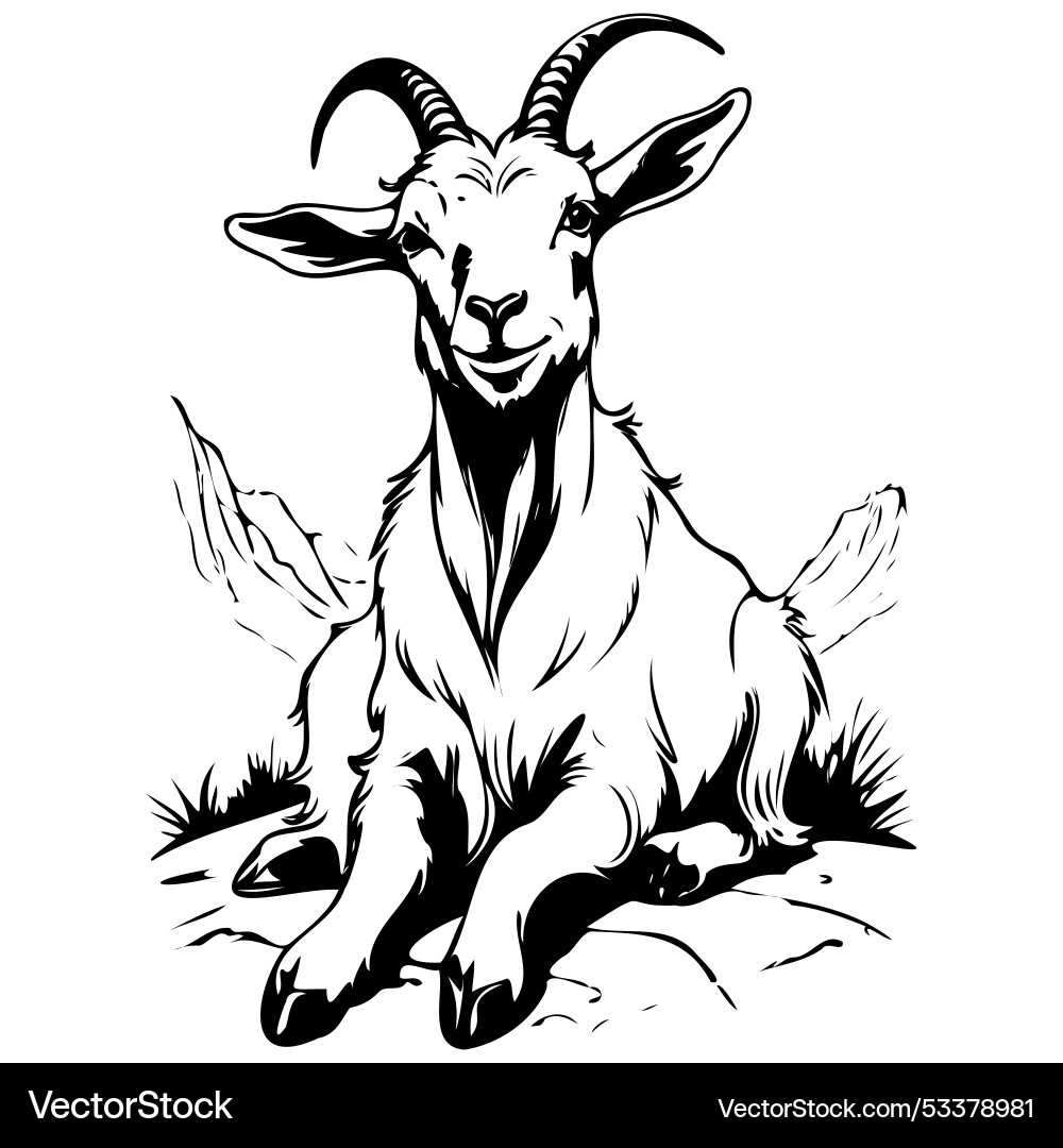 Alpine goat sitting drawing black silhouette Vector Image