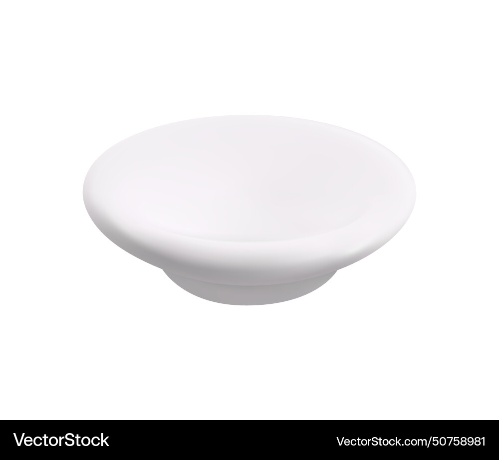 Porcelain 3d white plate realistic empty ceramic Vector Image
