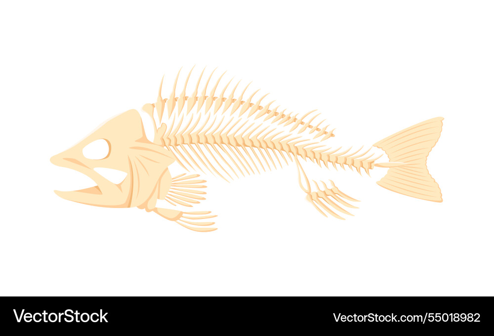 Cartoon fish bones isolated skeleton Royalty Free Vector