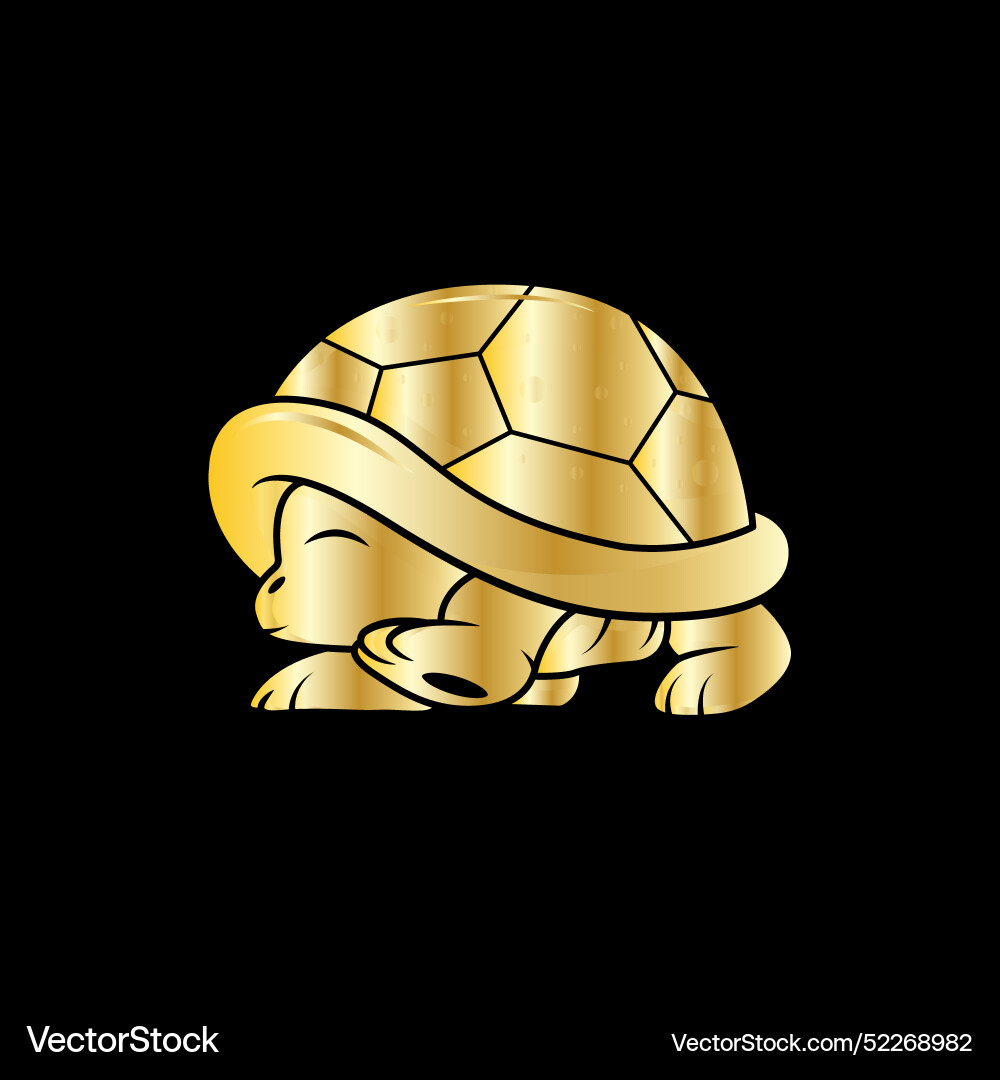 Hide turtle enemy gold Royalty Free Vector Image