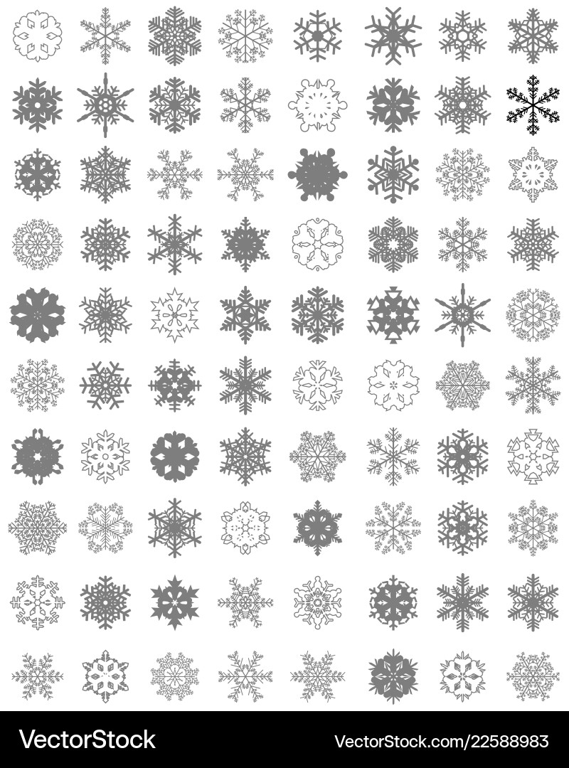 Set of different gray snowflakes Royalty Free Vector Image