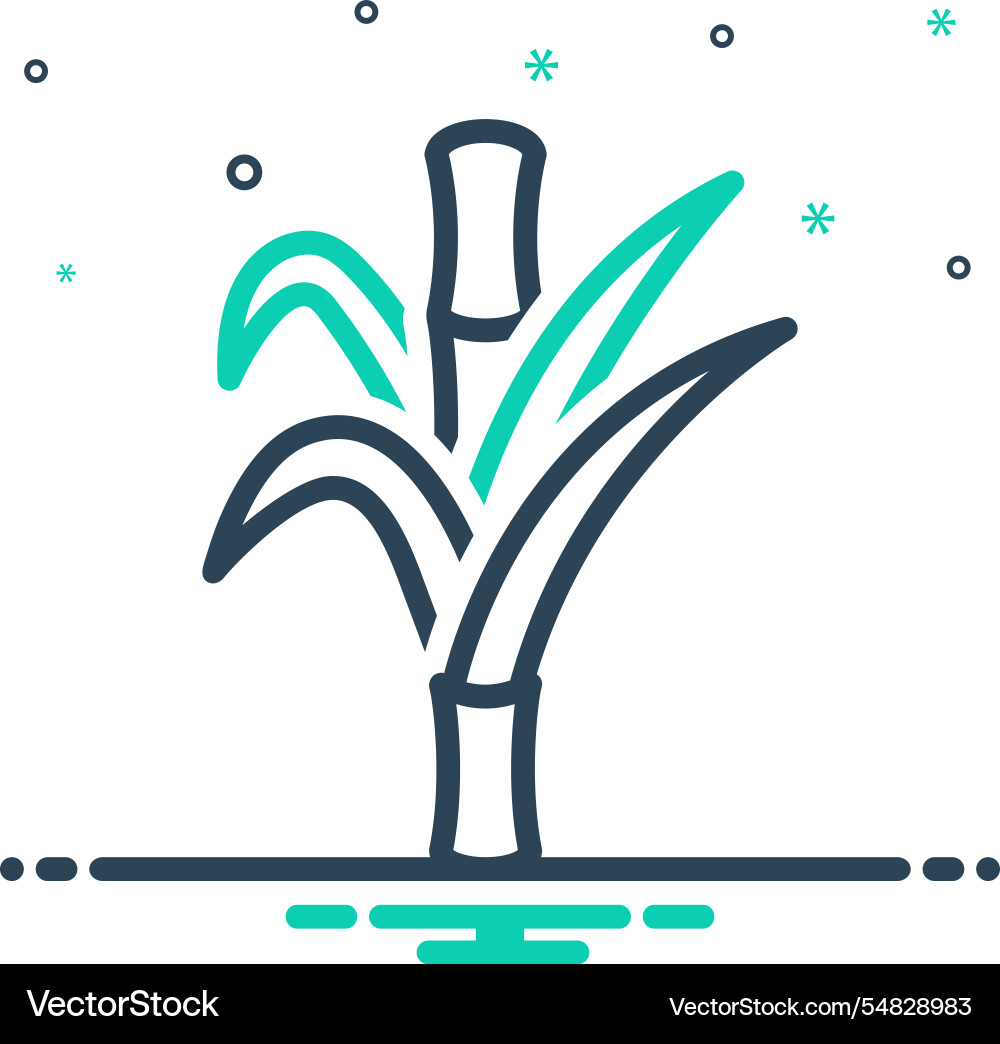 Sugar cane Royalty Free Vector Image - VectorStock