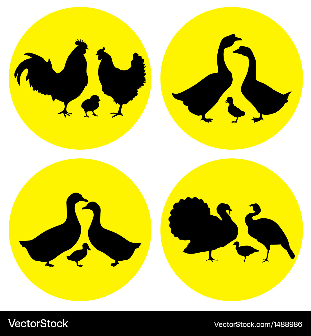 Family farm poultry Royalty Free Vector Image - VectorStock