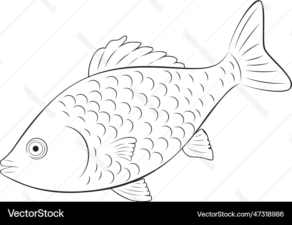 Simple line art fish Royalty Free Vector Image