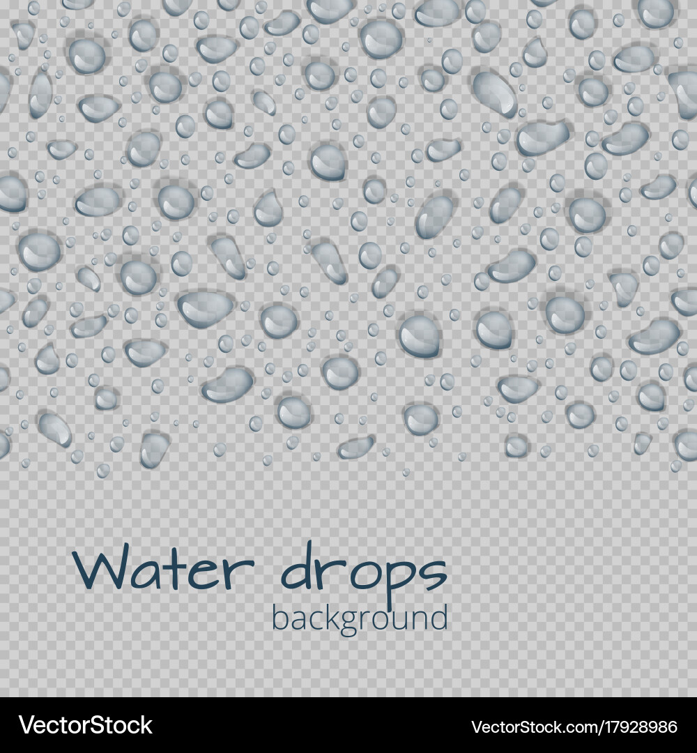 Water Drop Border