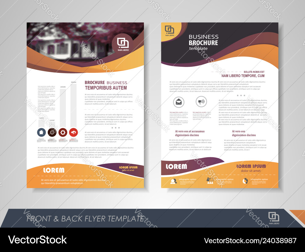 Presentation flyer Royalty Free Vector Image - VectorStock