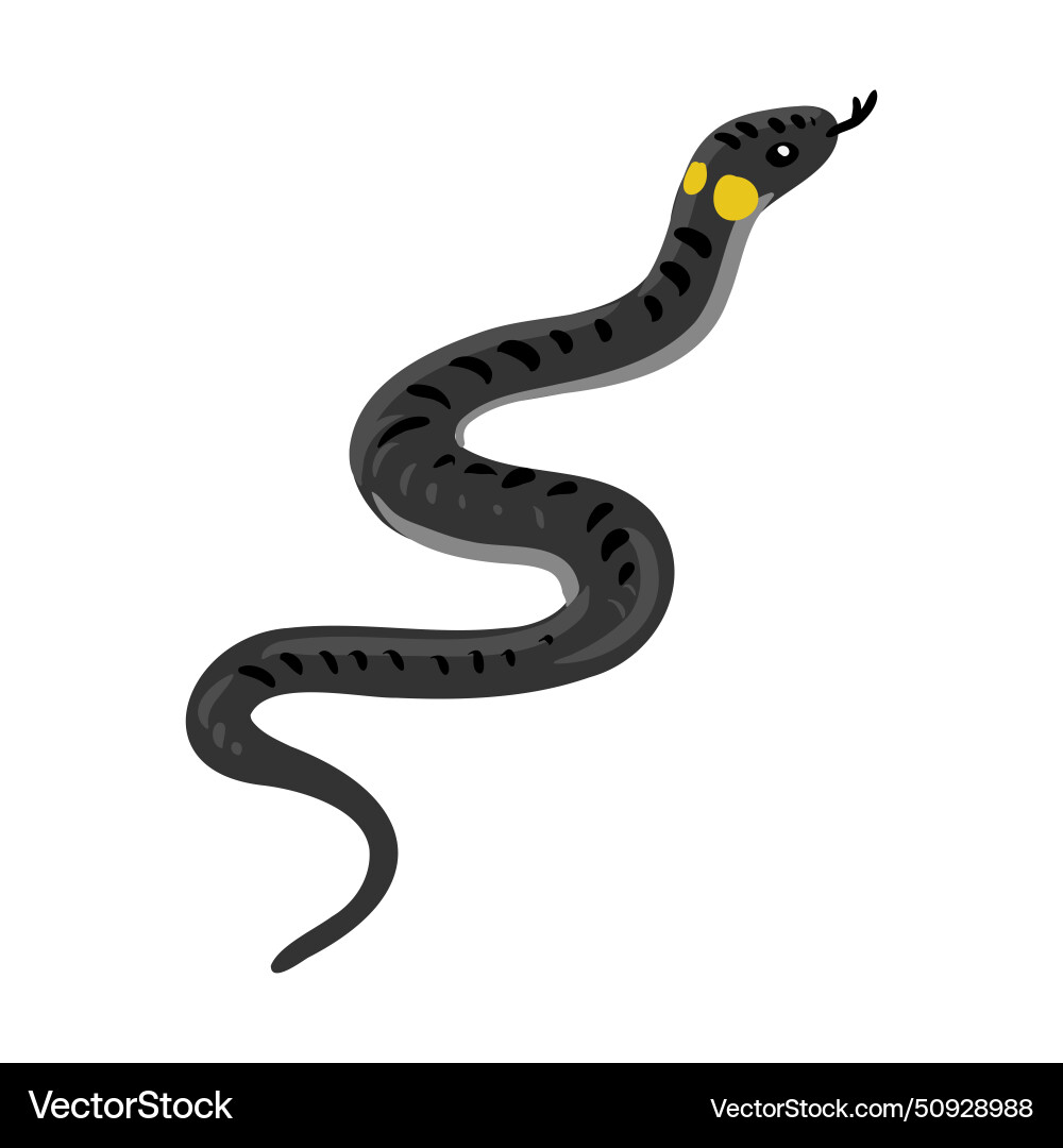 Drawing ringed snake Royalty Free Vector Image