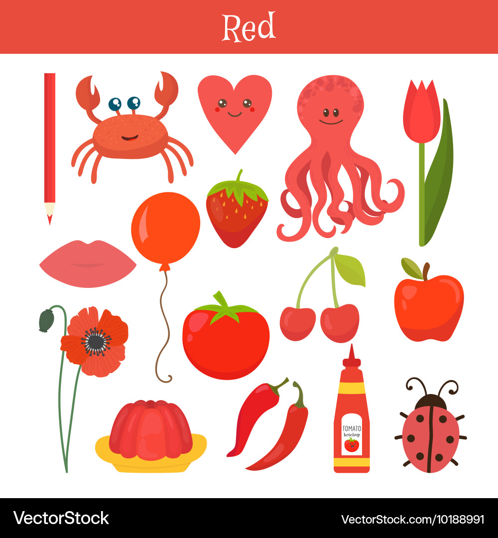 Red learn the color education set of primary Vector Image