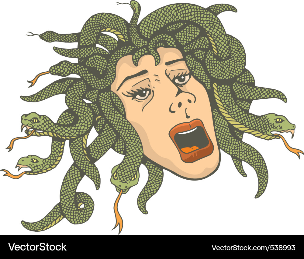 Medusa's Head - Snake Monster Royalty Free Vector Image