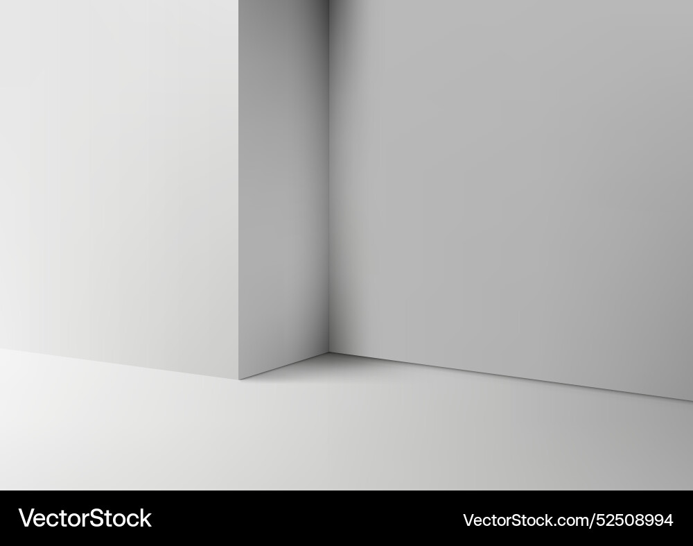 Modern minimalist white wall with soft shadows Vector Image