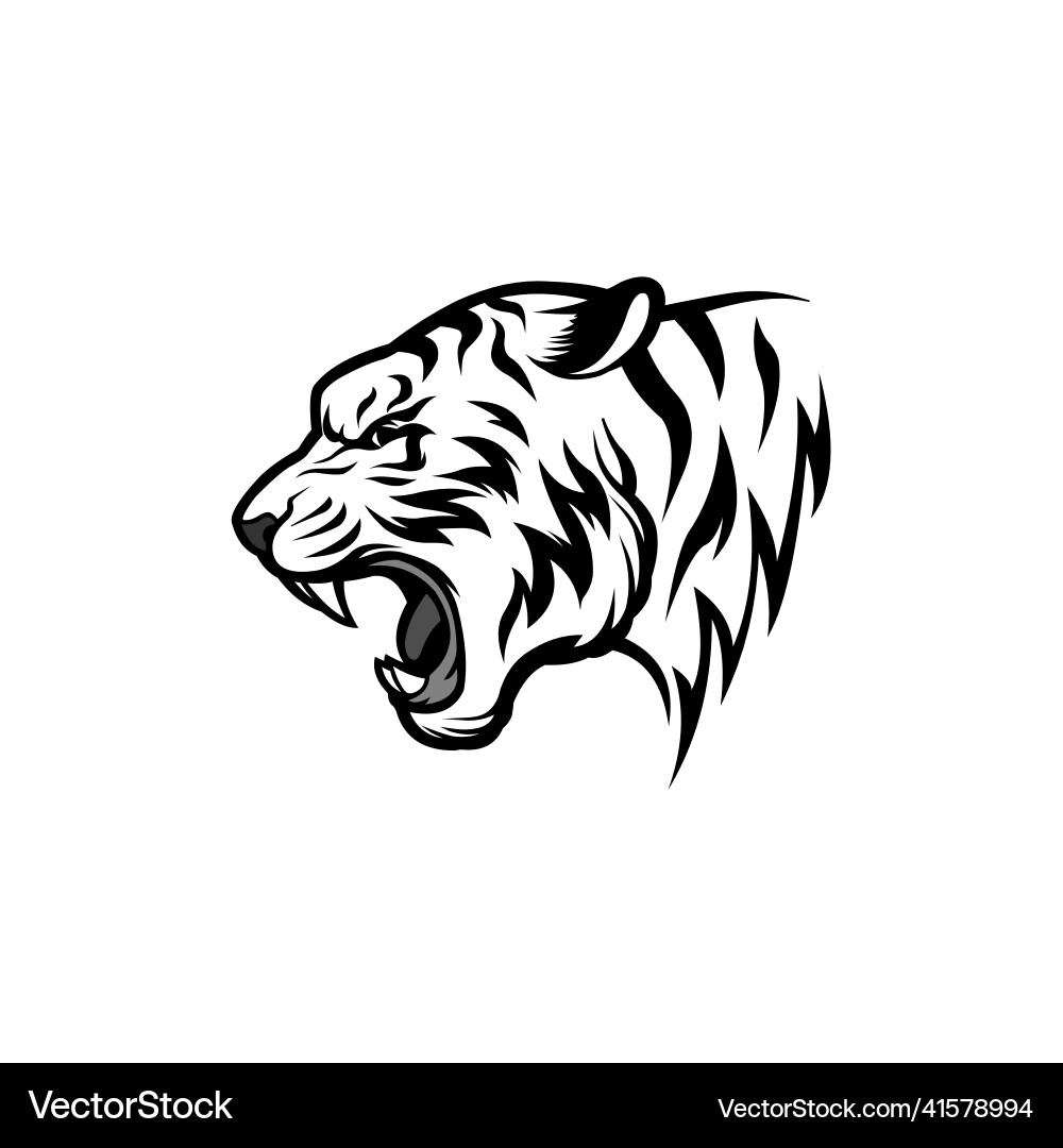 Tiger head Royalty Free Vector Image - VectorStock