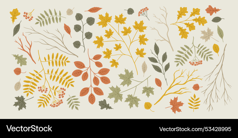 Autumn nature elements Royalty Free Vector Image
