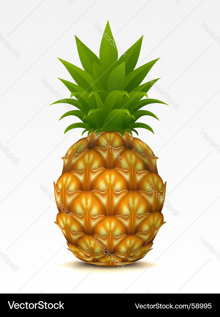 Pineapple Royalty Free Vector Image - VectorStock