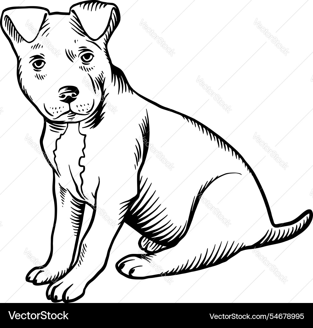 Puppy pit mix - dog breed file Royalty Free Vector Image