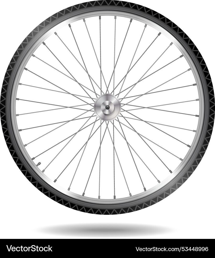 Bicycle wheel Royalty Free Vector Image - VectorStock