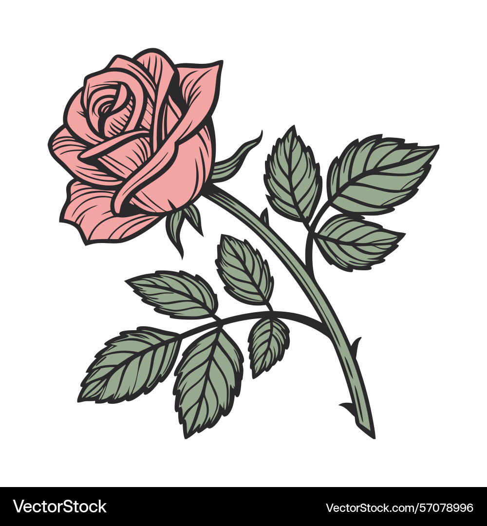 Single red rose flower cartoon design 2 Royalty Free Vector