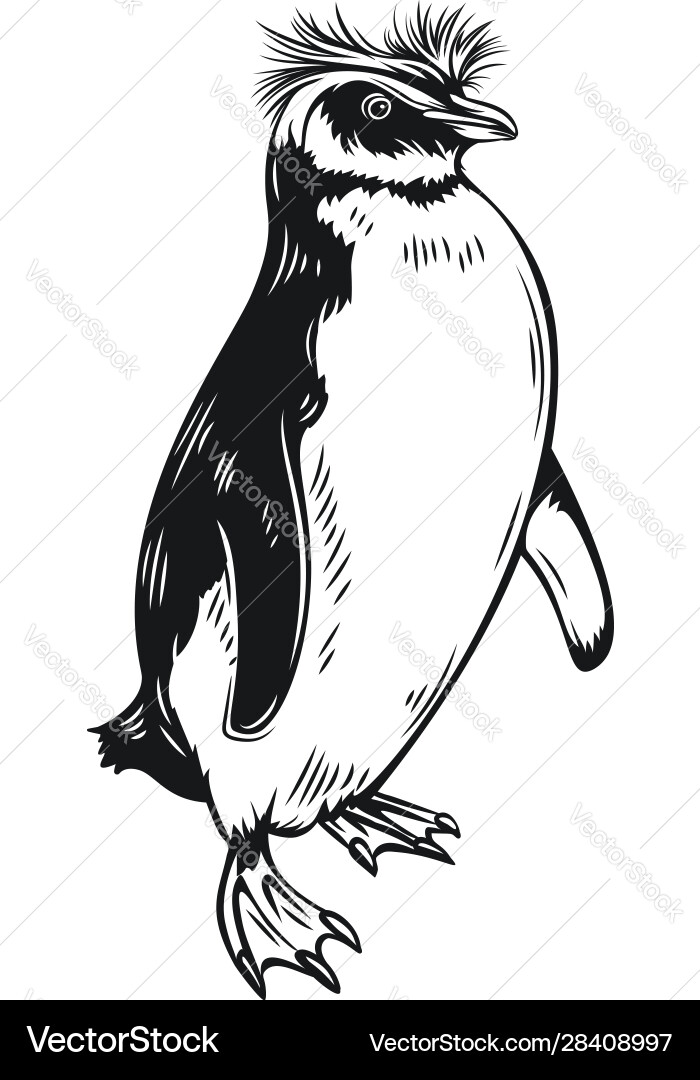 Penguin outline icon Royalty Free Vector Image