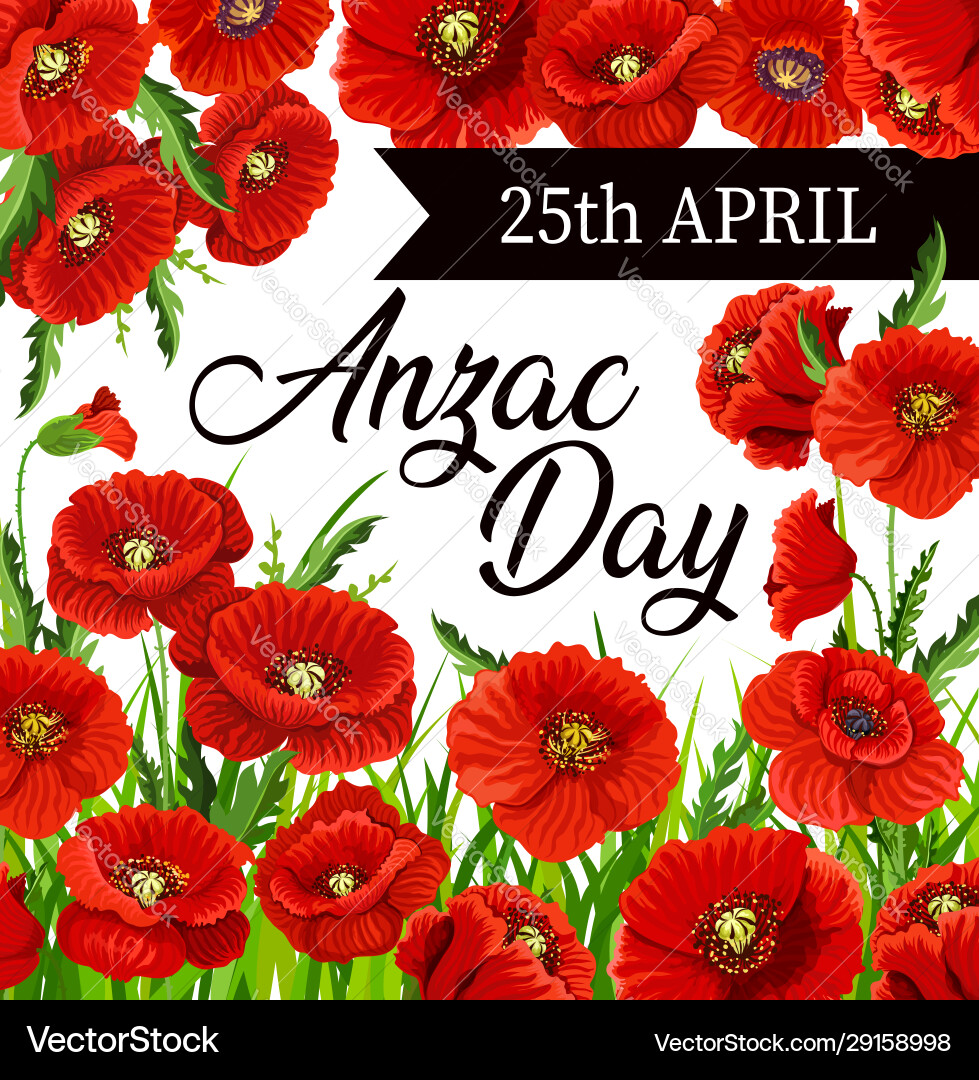 Anzac Day Poppy Remembrance Royalty Free Vector Image