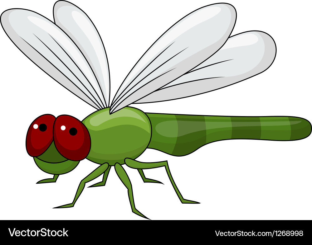 Dragonfly cartoon Royalty Free Vector Image - VectorStock