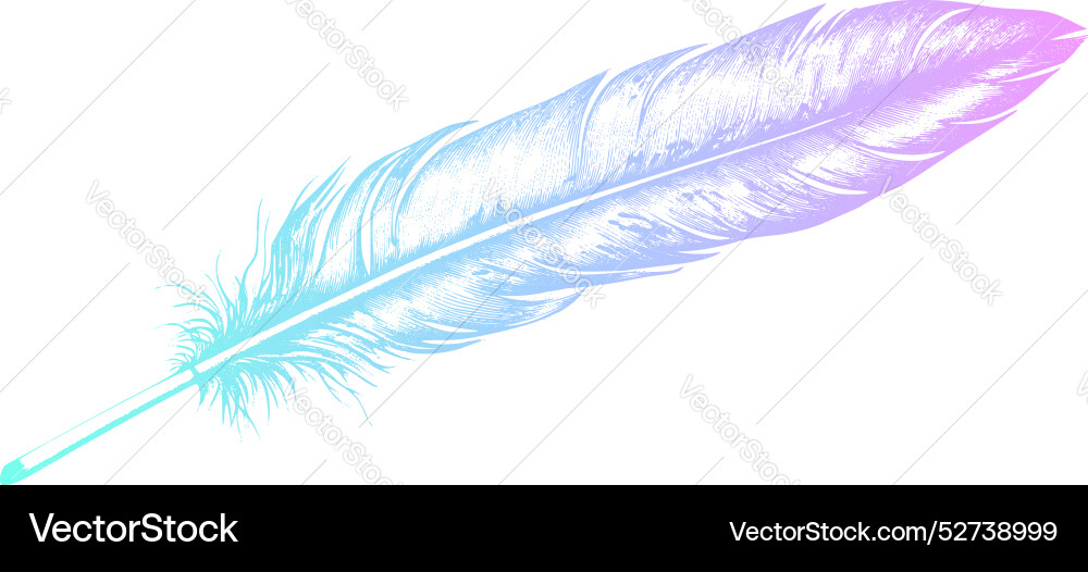 Bird feather in ink drawing style isolated Vector Image