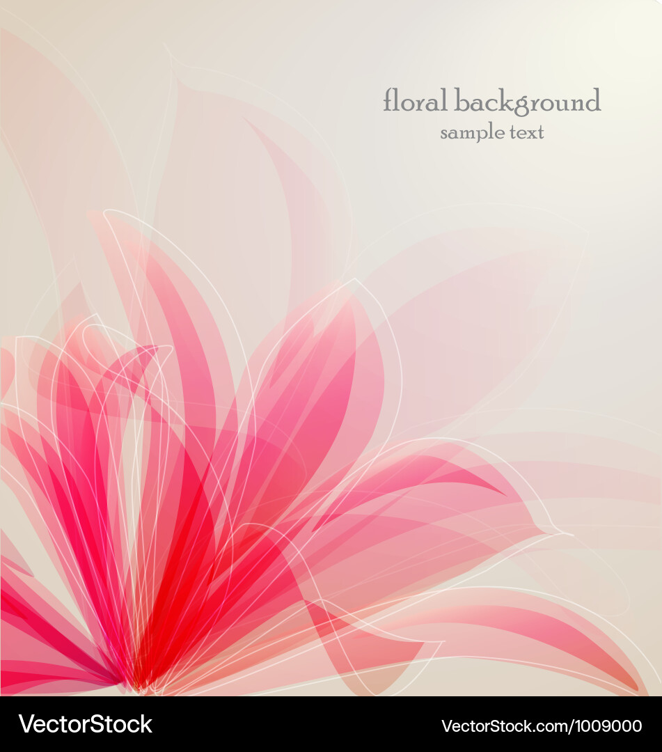 Lily flower abstract background Royalty Free Vector Image