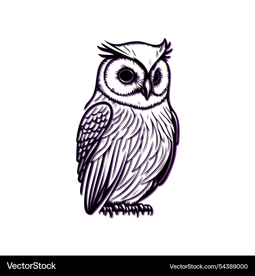 Owl line art concept of wisdom knowledge Vector Image