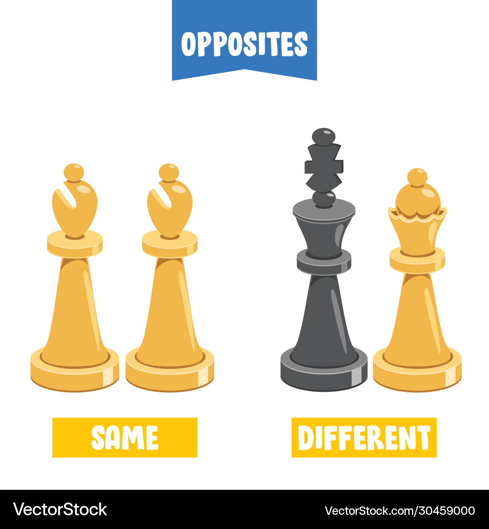 Same and different Royalty Free Vector Image - VectorStock