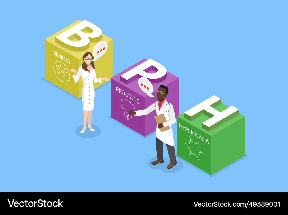 3d isometric flat of bph Royalty Free Vector Image