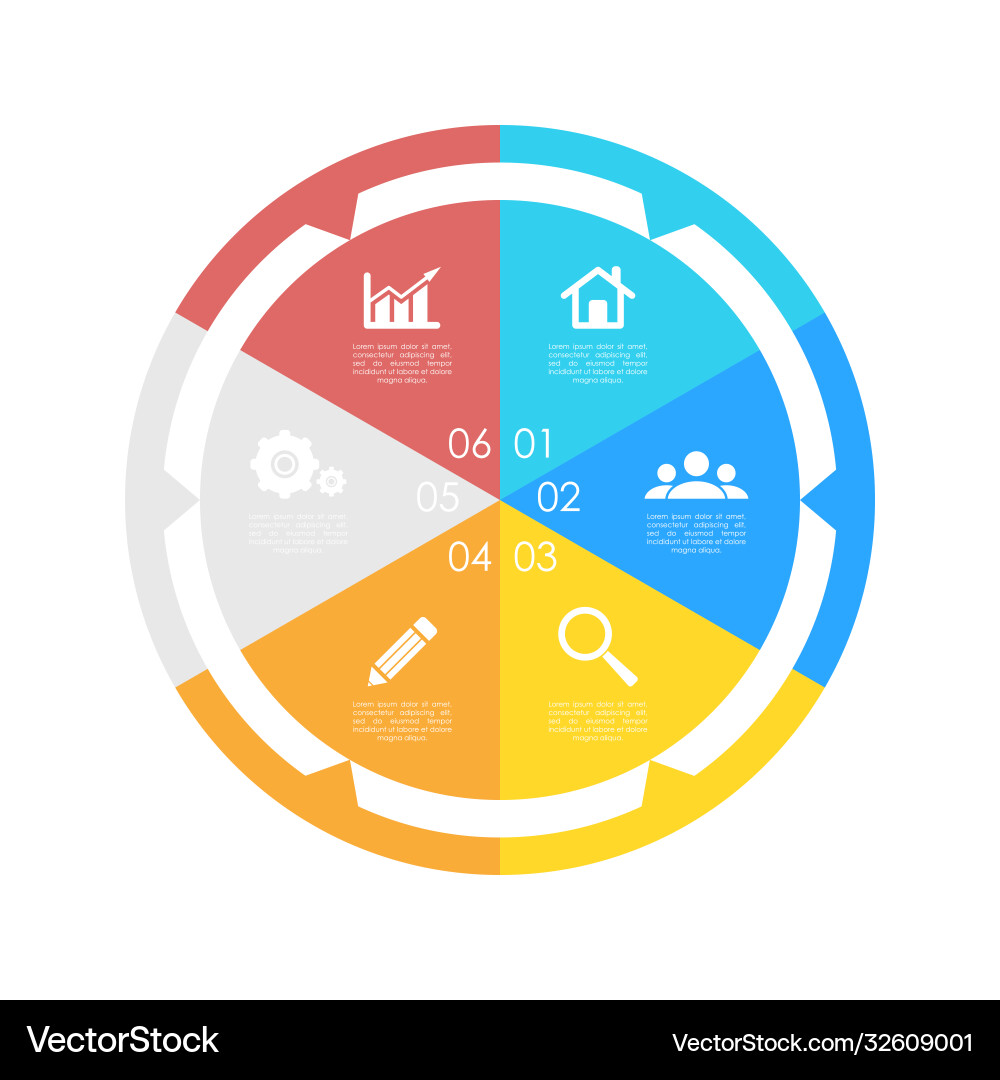 Circle chart infographic template Royalty Free Vector Image