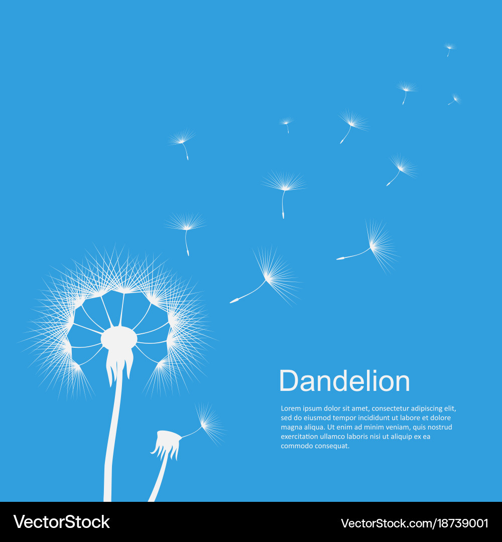 Dandelion on blue template poster Royalty Free Vector Image