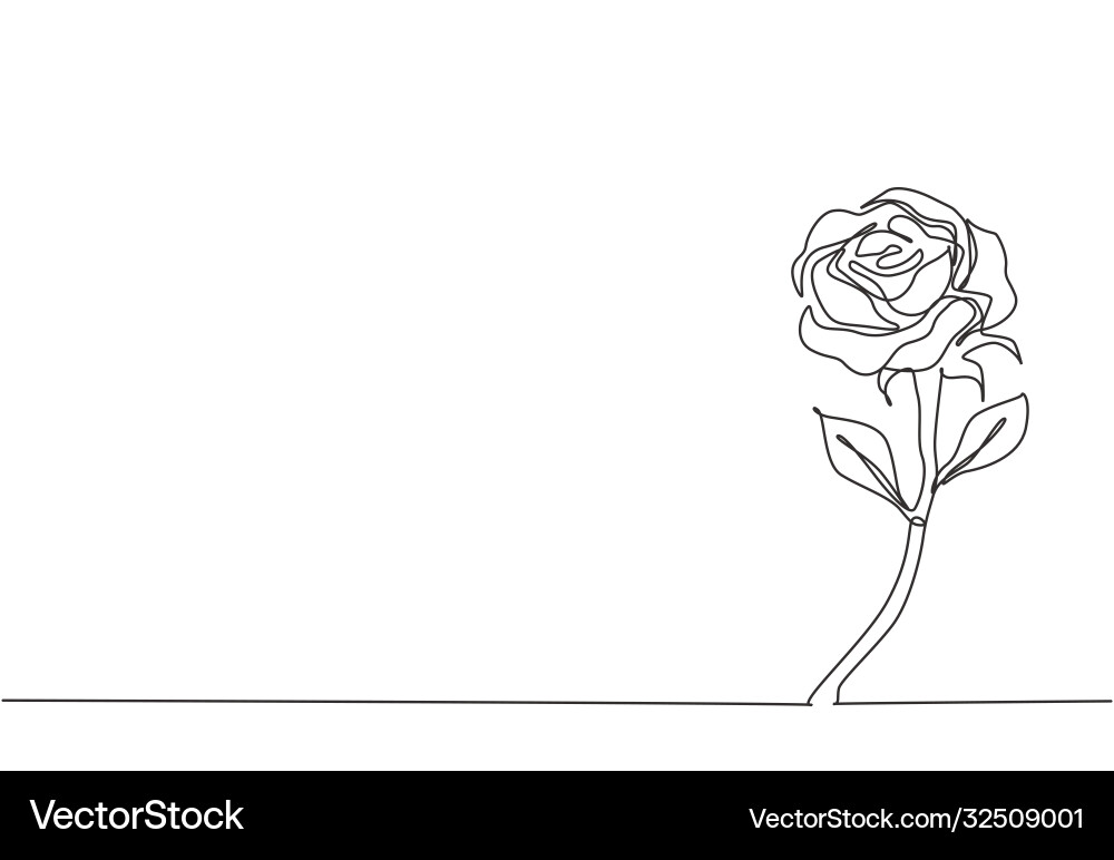 One single line drawing fresh beautiful Royalty Free Vector