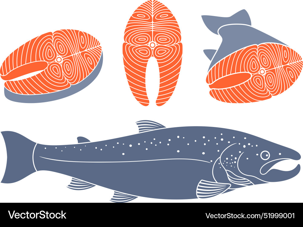 Salmon Royalty Free Vector Image - VectorStock