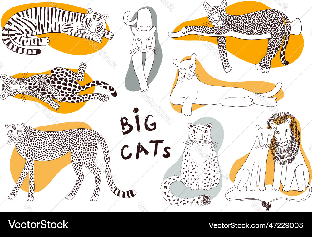 Big cats isolated collection abstract shapes Vector Image