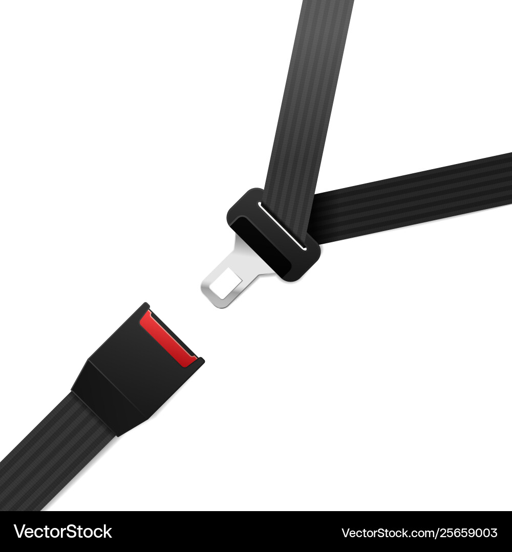 Wearing Seat Belt Vector Images (over 350)