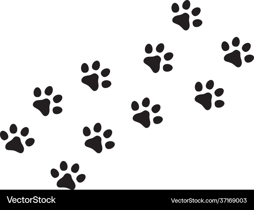 Dog paws Royalty Free Vector Image - VectorStock