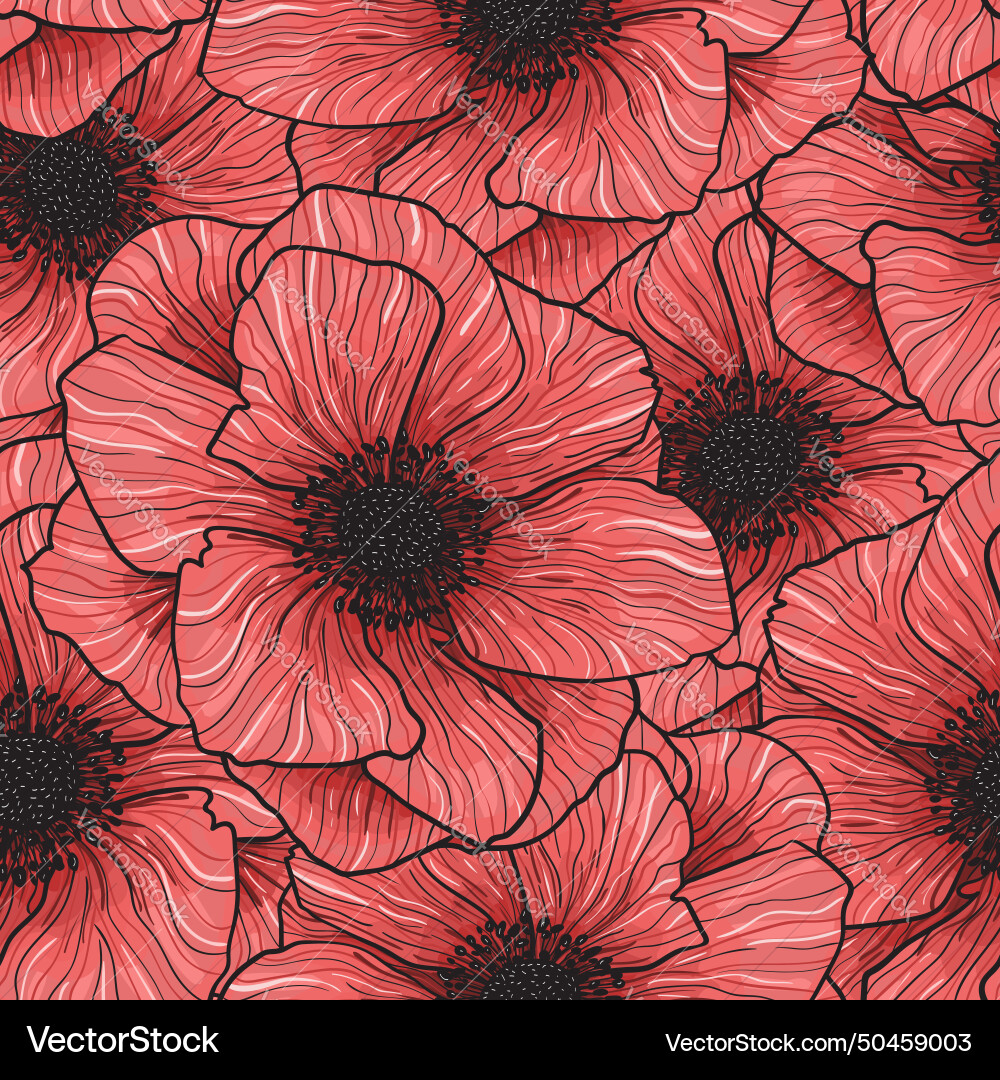 Pattern anemones wildflower graphic flowers red Vector Image