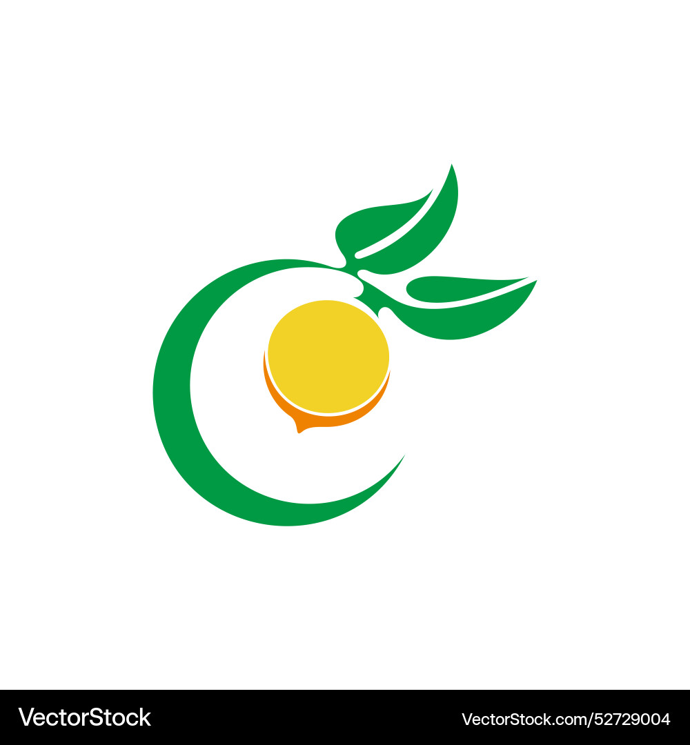 Letter c vitamin orange fruit simple logo Vector Image