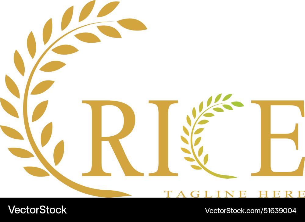 Rice logo design paddy icon Royalty Free Vector Image