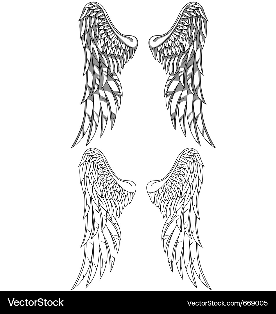 Wings Collection - Feather & Angel Royalty Free Vector
