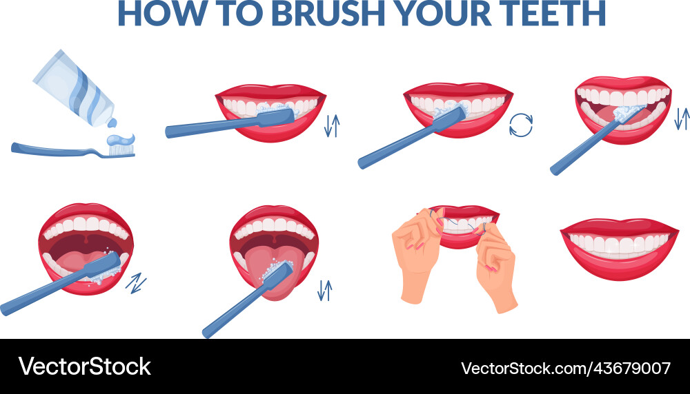 How to brush your teeth step by instruction Vector Image