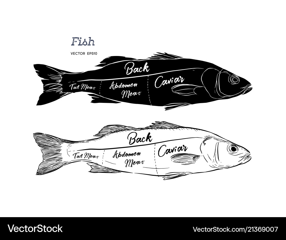 Poster fish cutting scheme lettering Royalty Free Vector